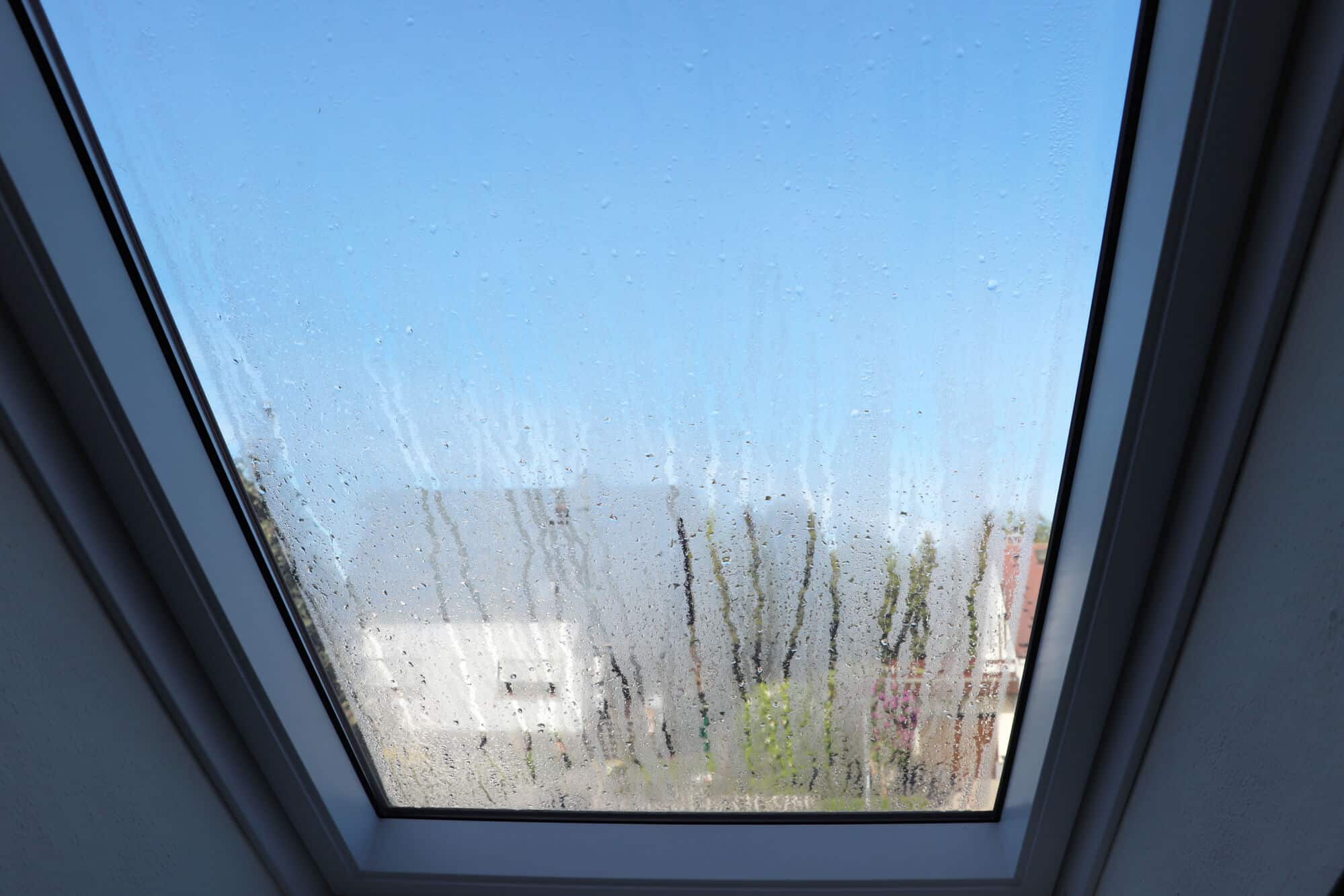 Winter Roof Condensation: Prevention & Solution Guide | Big Easy Roof ...